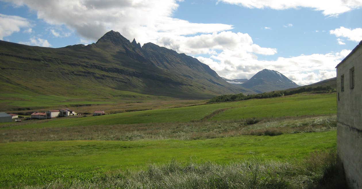 Hörgdal kemur út úr skápnum - Heimildin