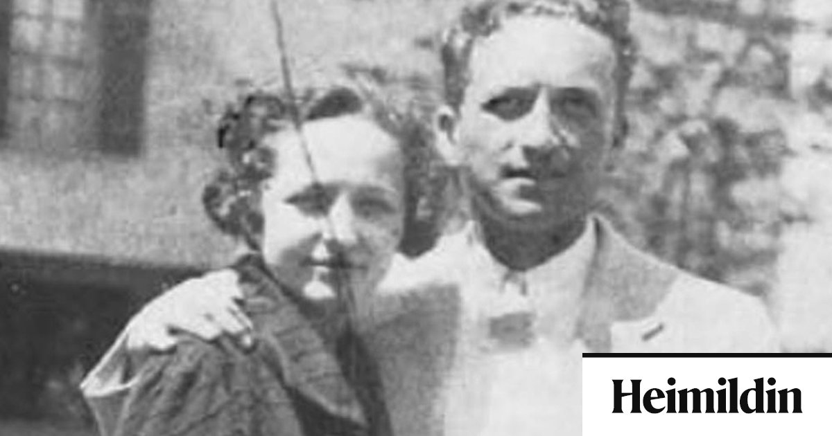 Myndin um hinn dularfulla Dylan: Hvaðan kom hann þá? - Heimildin