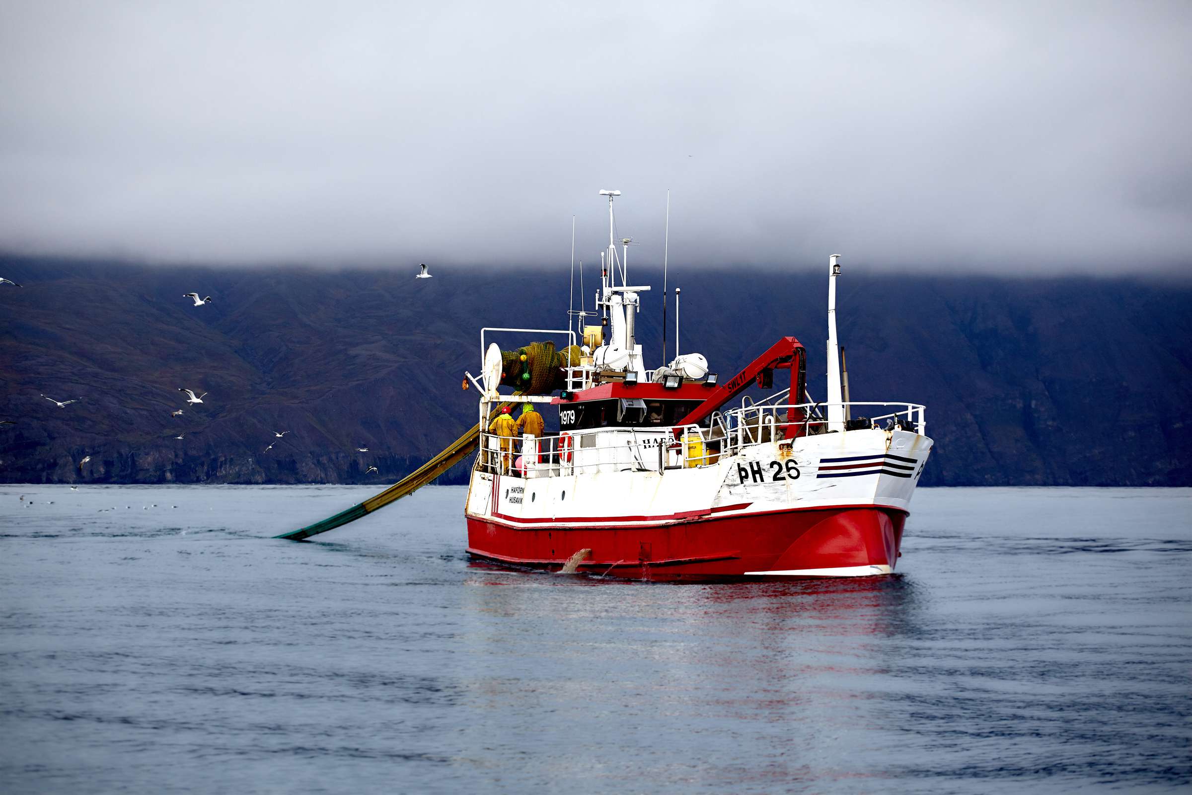Þjáningarfullt traust - Heimildin