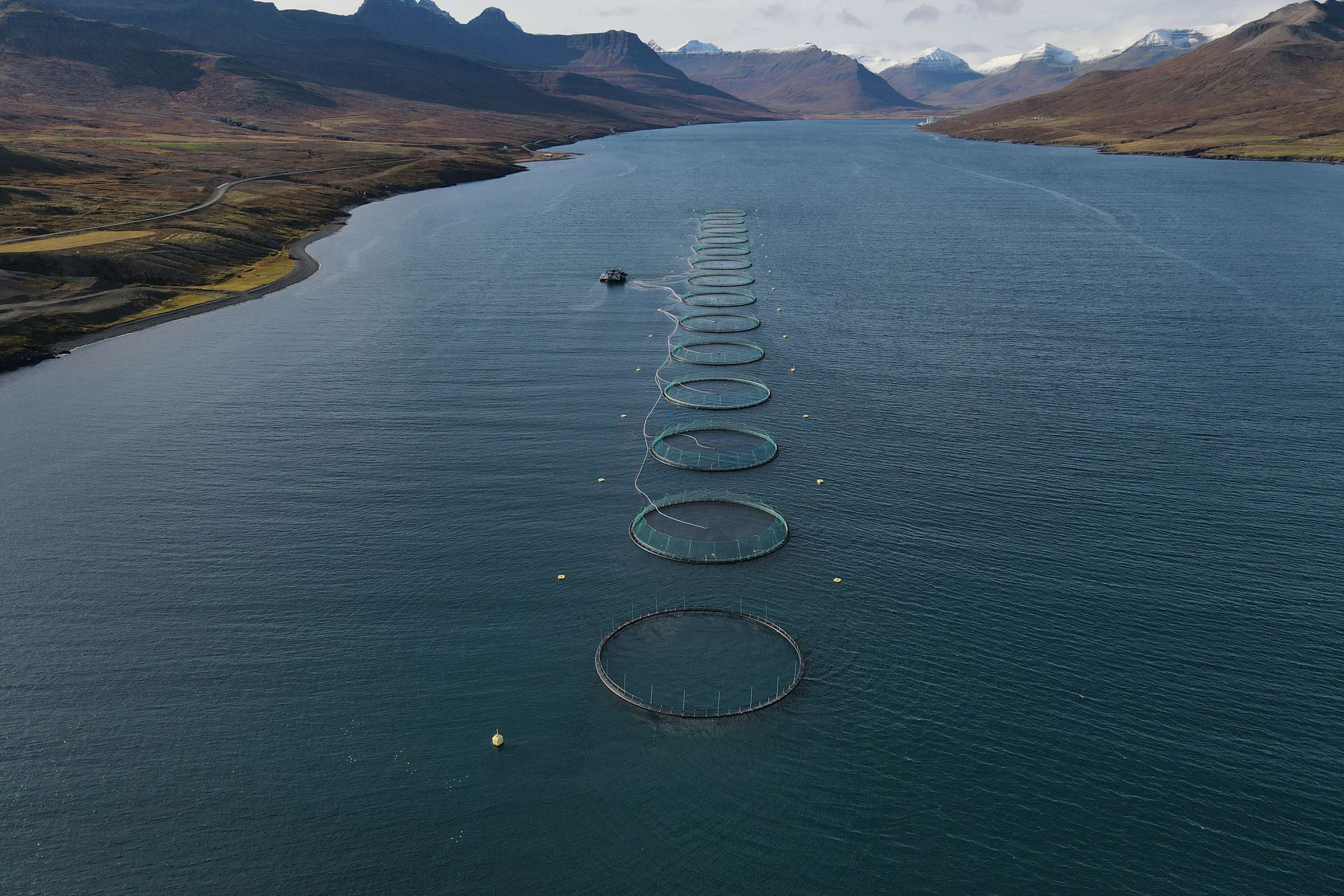Fiskeldi og flóttamenn - Heimildin