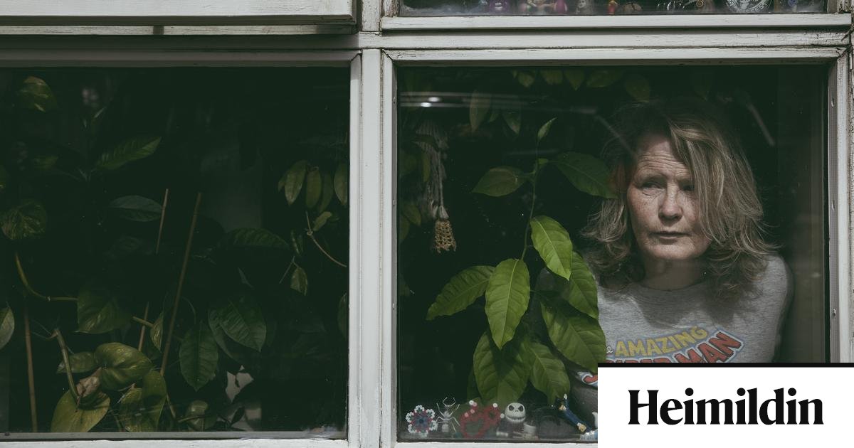 Hamingja er - Heimildin