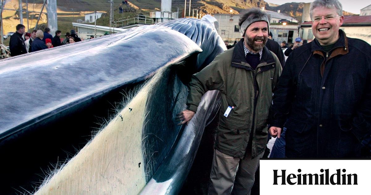 Þurfti Bjarkey að leyfa Hval að skjóta 128 langreyðar?: „Ég mun ekki ...