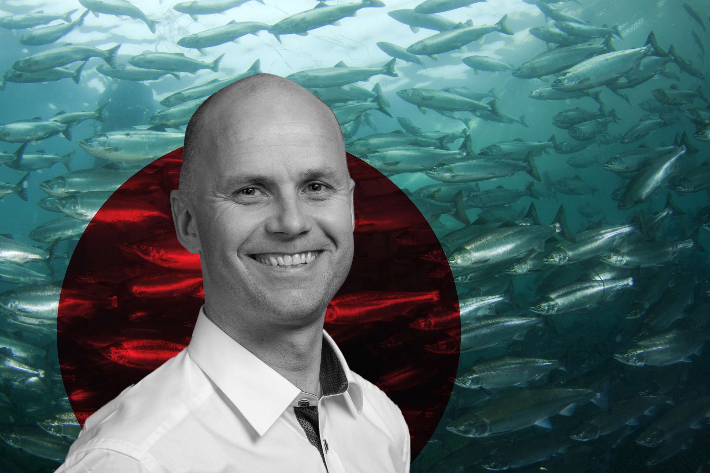 Sömu fóðurtæki hafa gatað sjókvíar í Noregi - Heimildin