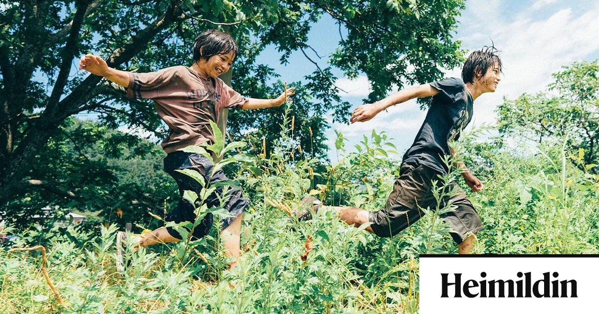 Bíómyndir fyrir barnamálaráðuneyti - Heimildin