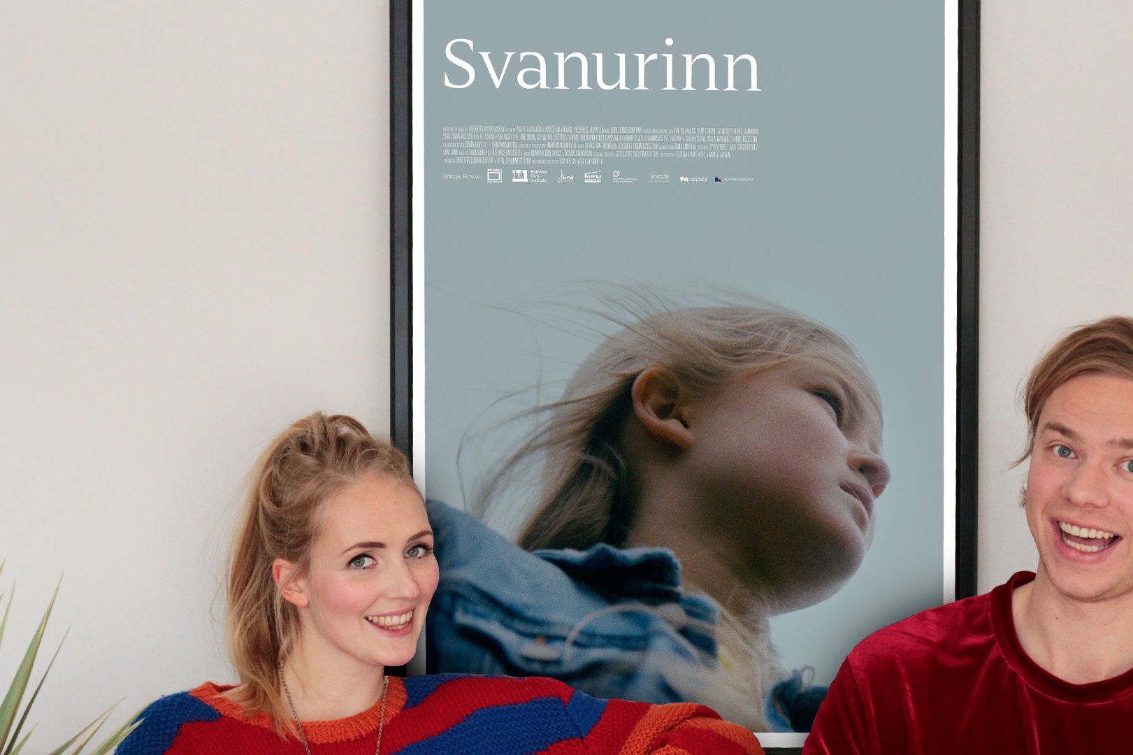 Svanurinn - Heimildin